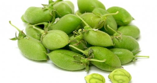 Springing Up - The Lovely Renaissance of the Humble Chick Pea - Kitchen ...