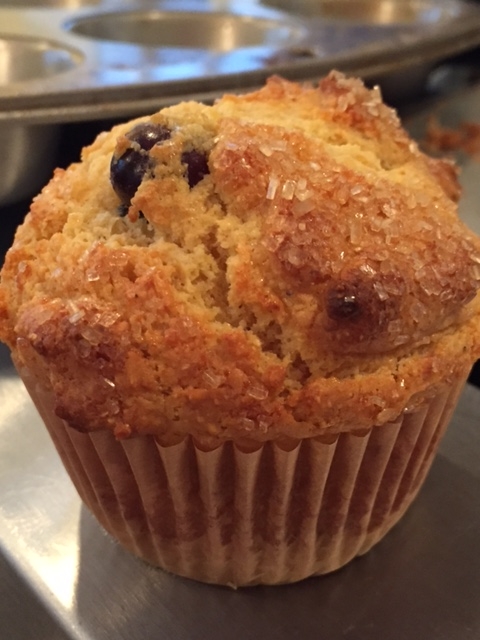 Of Easy Wind and Downy Flake - What Snow Days are Made For - Blueberry ...